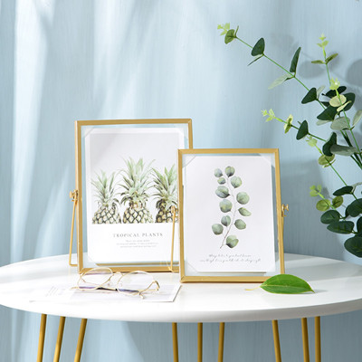 Simple Metal Floating Picture Frame